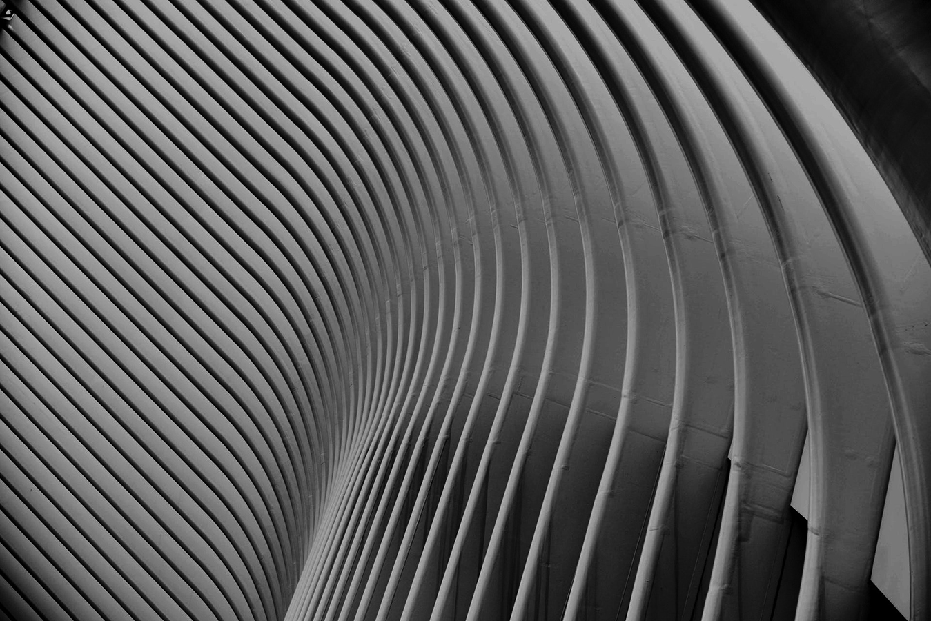 Organic Modeling - Protofile3D